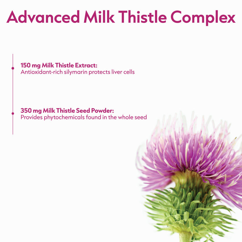 Milk Thistle 500mg 60 Capsules – Dr Nutrition 360
