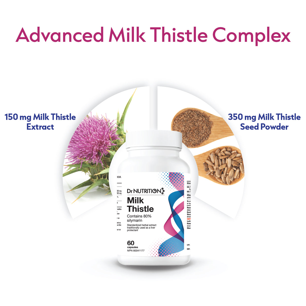Milk Thistle 500mg 60 Capsules – Dr Nutrition 360
