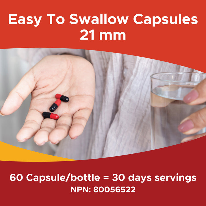 VigoMate 60 Capsules – Dr Nutrition 360